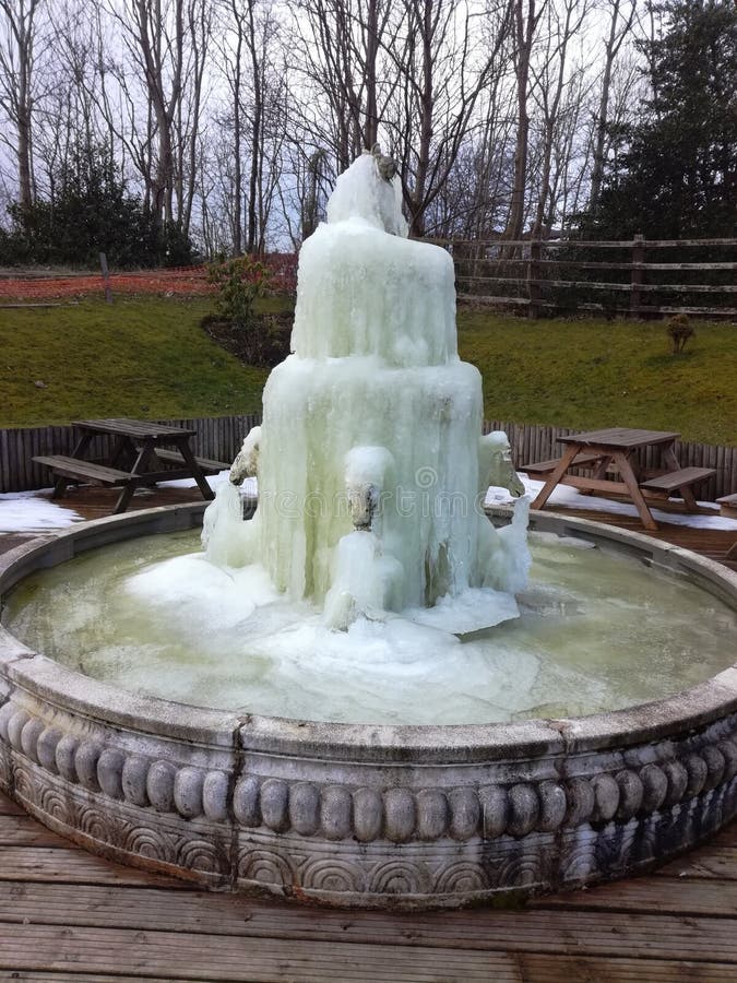 Frozen stock photo. Image of garden, frozen, beautiful - 115768738