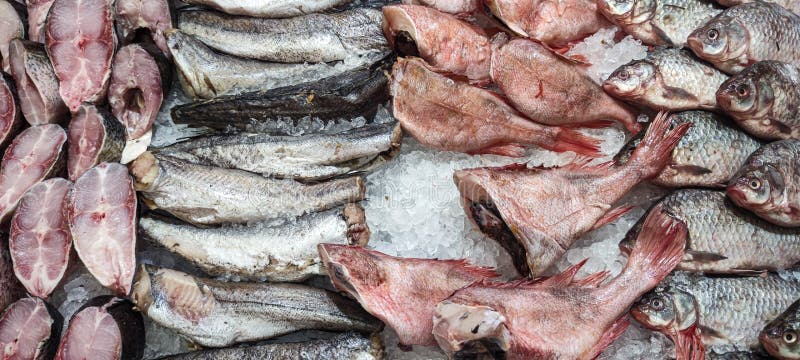 Frozen Fresh Fish Lies on Ice. Lots of Fresh Raw Fish Stock Photo ...