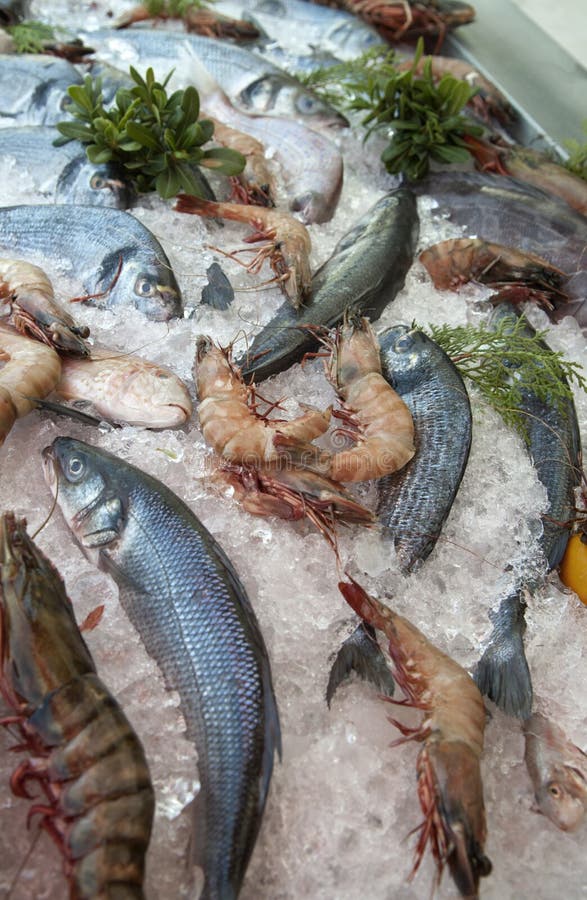 Frozen Fresh Fish and Shrimp Stock Photo - Image of food, multi: 21464534