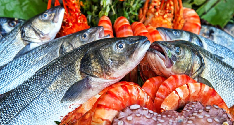 Frozen Fresh Seafood in the Market Stock Photo - Image of health ...