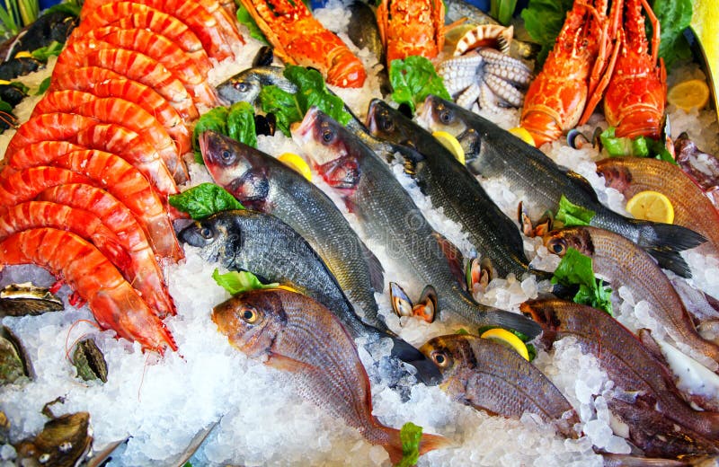 Frozen Fresh Seafood in the Market Stock Photo - Image of fish, typical ...