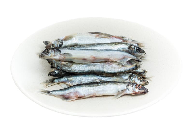 Frozen and Freshly Caught Capelin Closeup Stock Photo - Image of meal ...