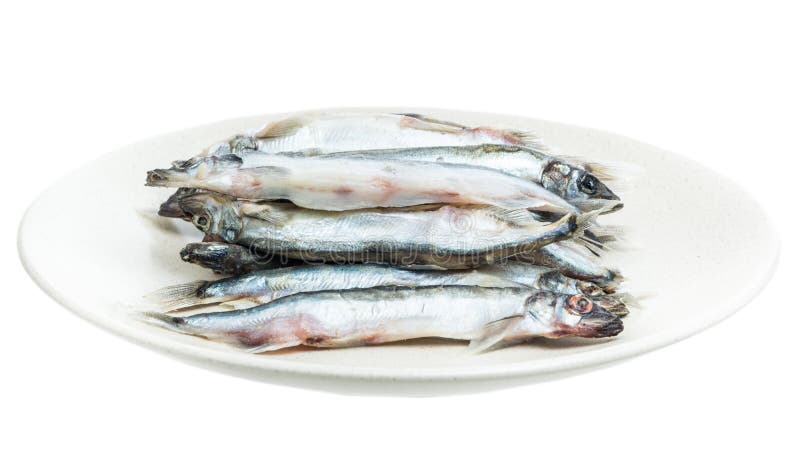 Frozen and Freshly Caught Capelin Closeup Stock Image - Image of food ...