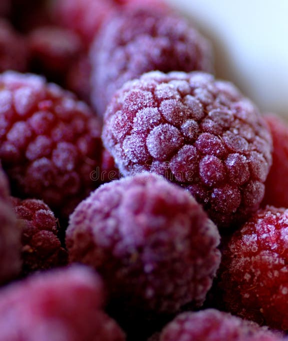 Frozen fruits stock image. Image of refrigerator, fruit - 5509643