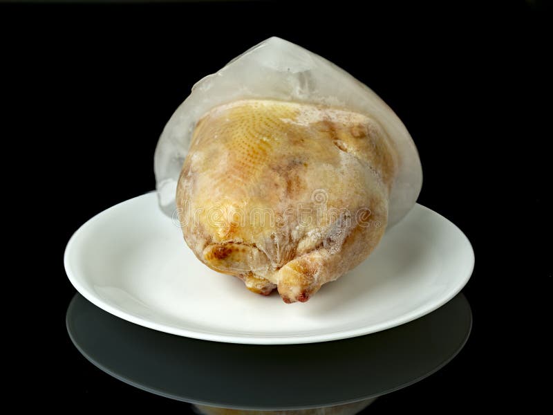 Frozen Game Hen with a Block of Ice Stock Image - Image of macro ...