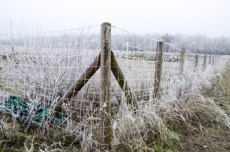 Frozen Gate stock image. Image of forest, cold, light - 83537311