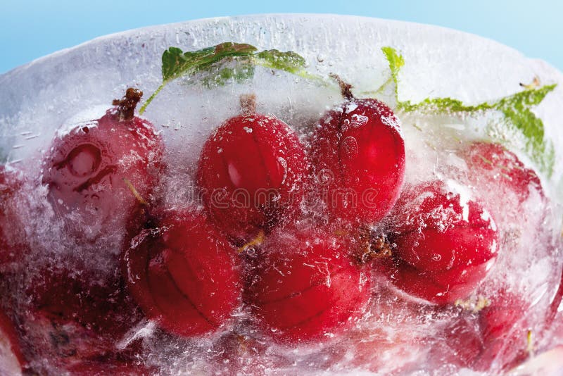 Frozen Gooseberries, Close-up Stock Photo - Image of nutrition, chill ...