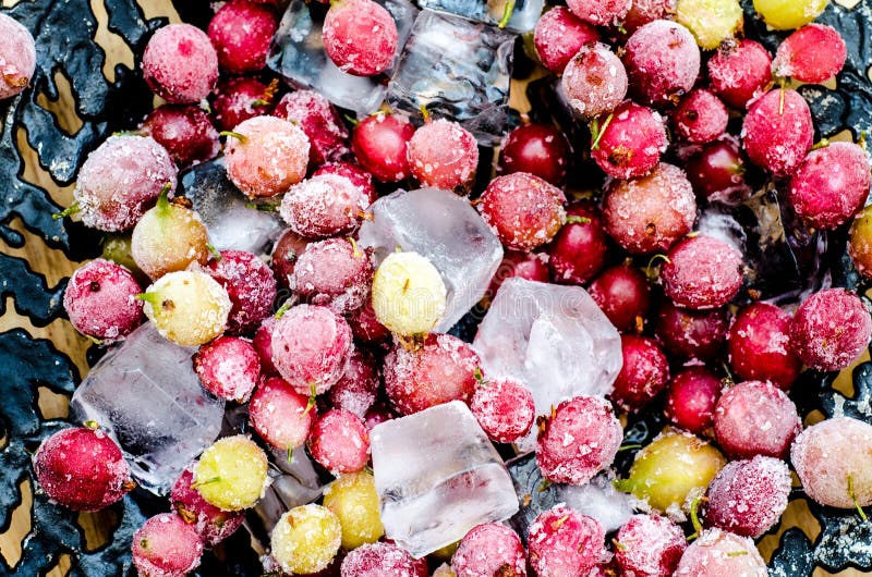 Frozen Gooseberries with Ice Cubes Stock Image - Image of closeup ...