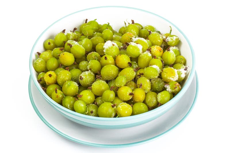 Frozen Gooseberries on White Stock Photo - Image of gooseberries ...