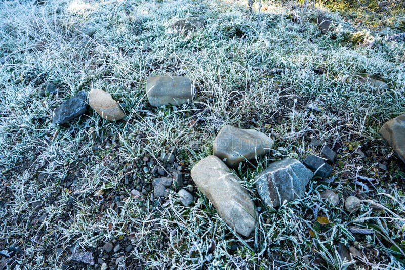 Nature Background with Dry Frost Grass and Stone Stock Image - Image of ...