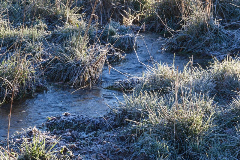 Frozen grass turf stock image. Image of scene, urban - 44110655