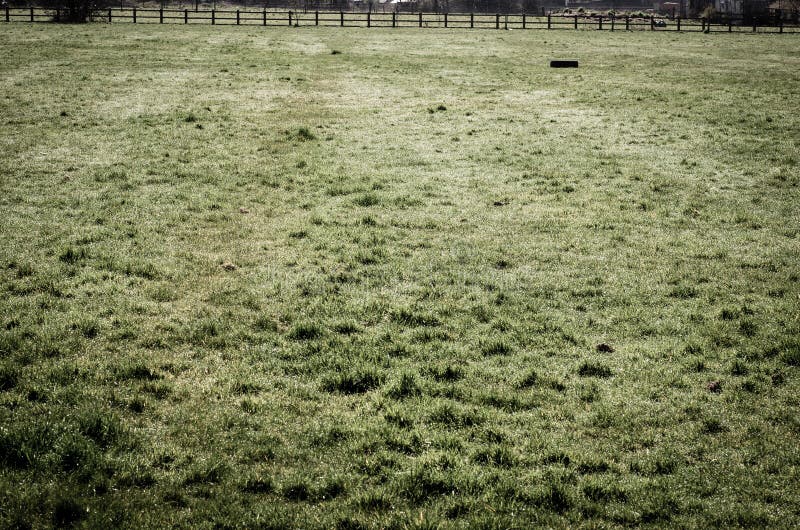 Frozen lawn stock image. Image of meadow, foliage, light - 102331319