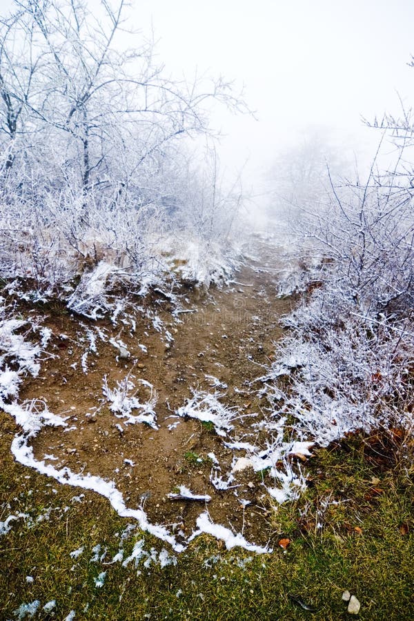 Frozen ground stock photo. Image of boondocks, cold, rural - 2522302