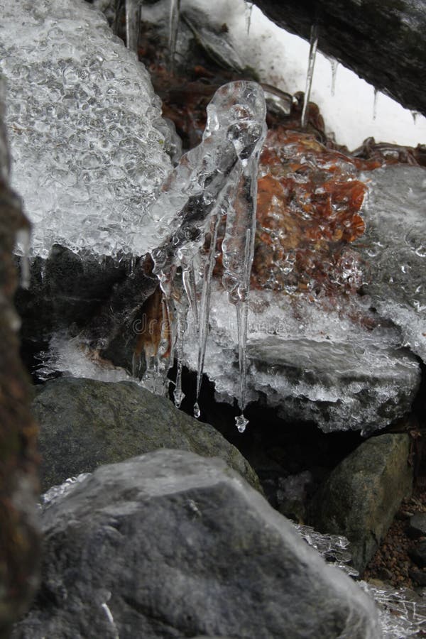 Frozen on the ground stock image. Image of frozen, closeup - 67665947