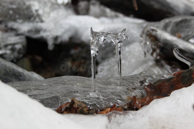 Frozen on the ground stock image. Image of background - 67666009