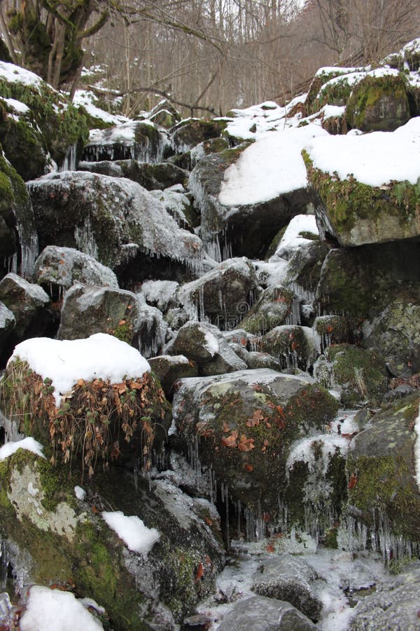Frozen on the ground stock image. Image of park, outdoors - 67666017