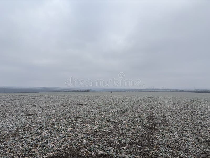 Frozen Ground on the Field. Light Snow Lies on the Black Ground Stock ...