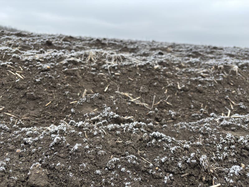 Frozen Ground on the Field. Light Snow Lies on the Black Ground Stock ...