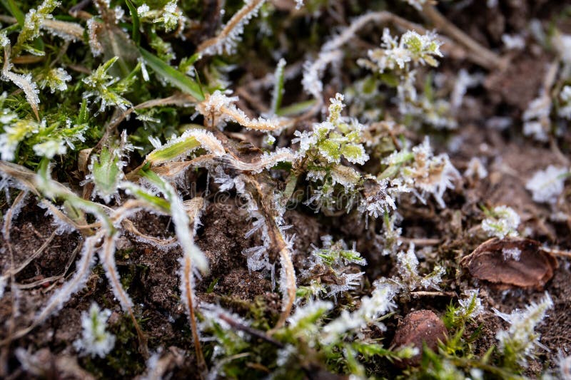 Frozen Ground and Grass. Spring and Weather Conditions Stock Image ...