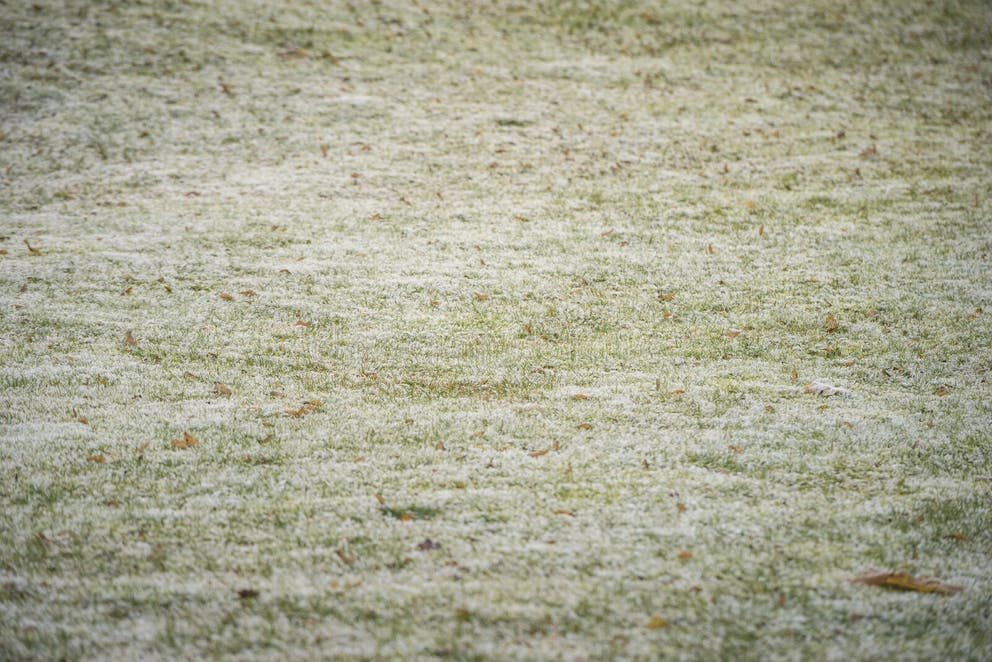 Frozen Ground on the Meadow Stock Photo - Image of frozen, winter: 84418676