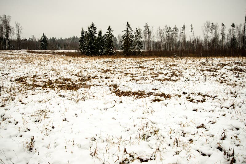 Frozen Ground Texture in Winter Countryside Stock Photo - Image of cold ...