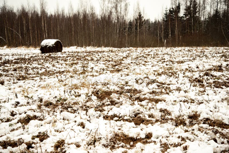 Frozen Ground Texture in Winter Countryside Stock Photo - Image of ...