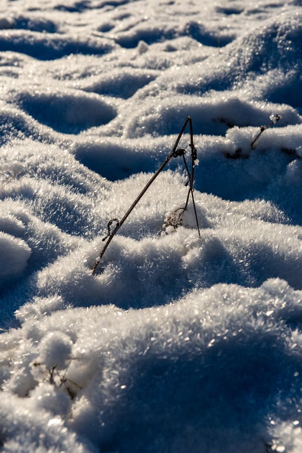 Frozen Ground Texture in Winter Countryside Stock Image - Image of ...
