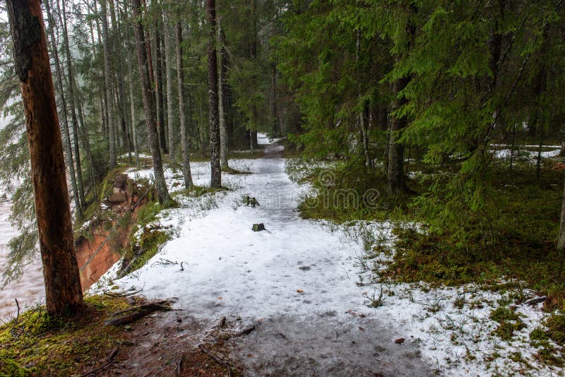 Frozen Ground Texture in Winter Countryside Stock Photo - Image of ...