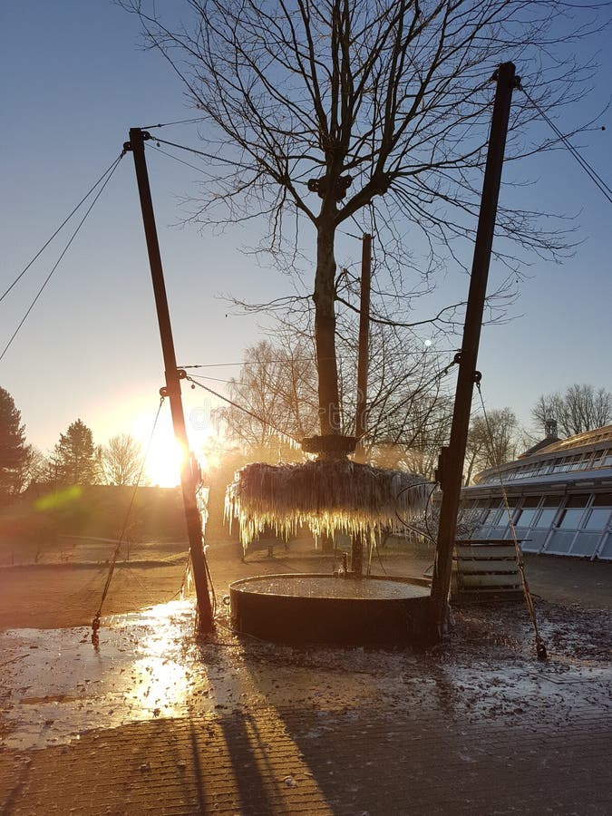 Boy hanging on the tree stock image. Image of hanging - 41135559