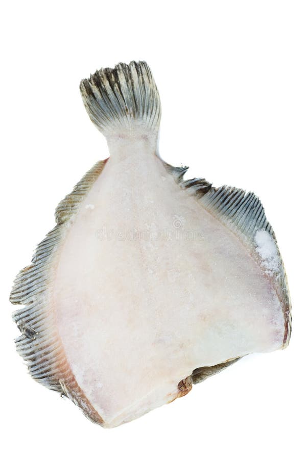Raw Frozen Headless Flounder Fish Isolated Stock Photo - Image of sole ...
