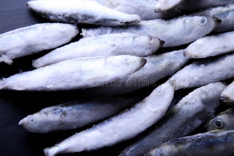 Frozen Herring Fish. Fish Background Stock Photo - Image of conveyor ...