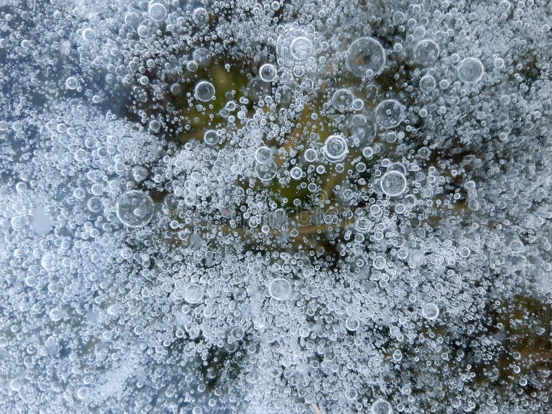 Frozen Ice Bubbles in Shallow Lake Stock Photo - Image of november ...