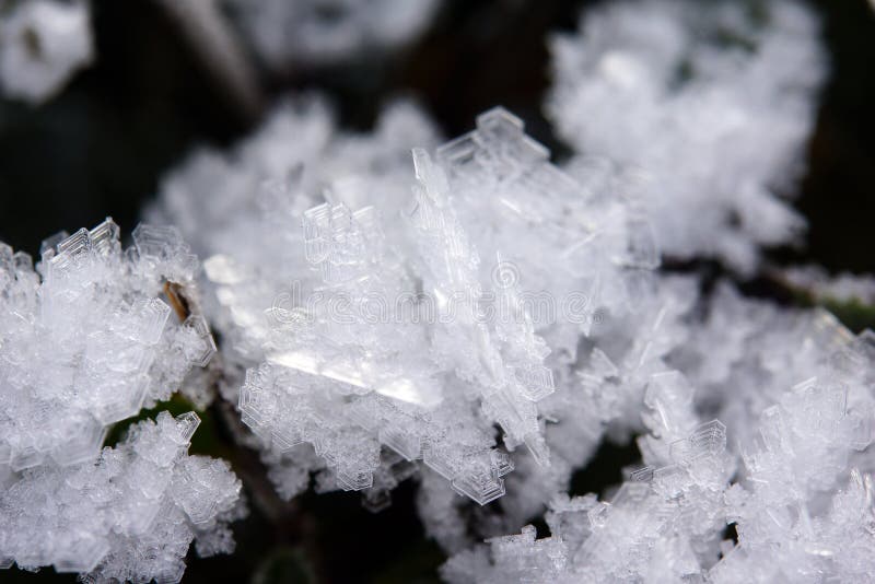 Frozen Ice Crystals on Nature Ground Stock Image - Image of blizzard ...