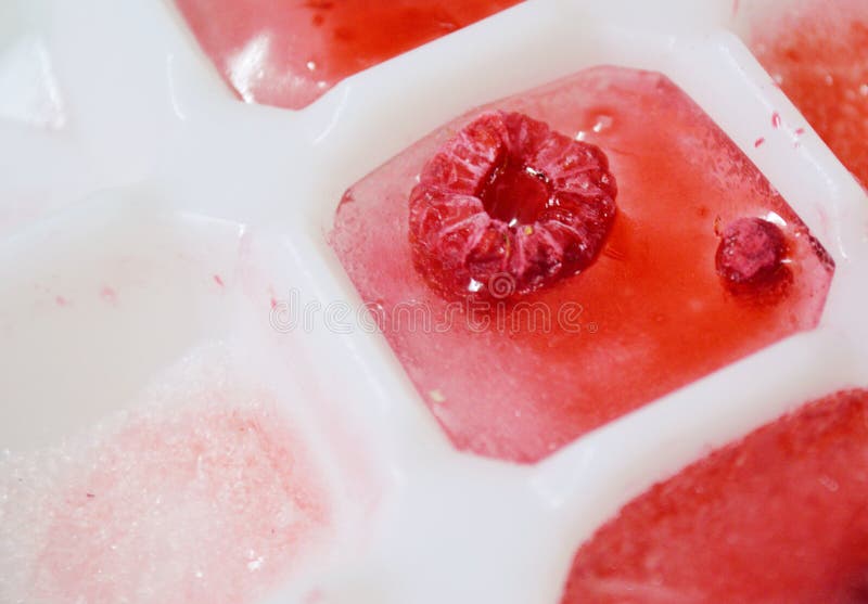 Frozen Ice Cubes with Raspberries in a White Ice Cube Tray Stock Image ...
