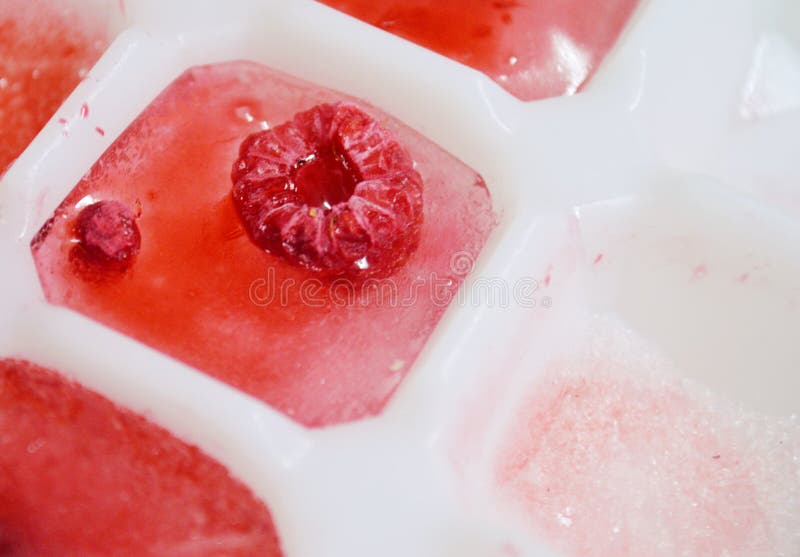Frozen Ice Cubes with Raspberries in a White Ice Cube Tray Stock Photo ...