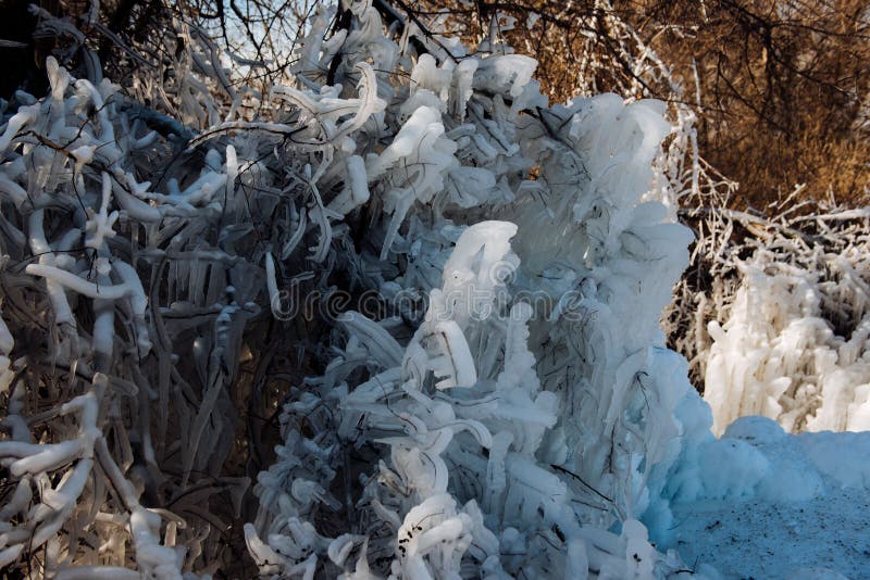 Frozen Ice Tree in the Winter. the Parts of the Tree are Frozen. Stock ...