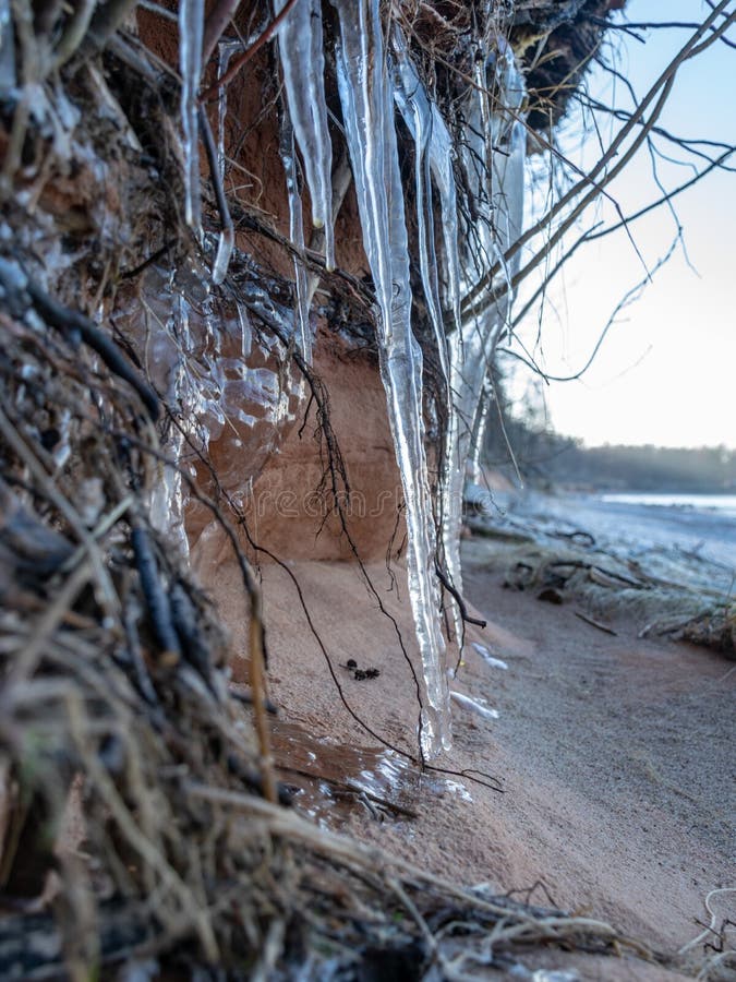 Frozen Icicles and Tree Roots Stock Image - Image of cold, beautiful ...