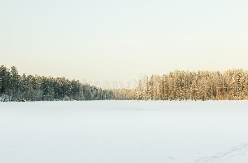 Frozen Icy forest lake stock image. Image of cool, pine - 33950839