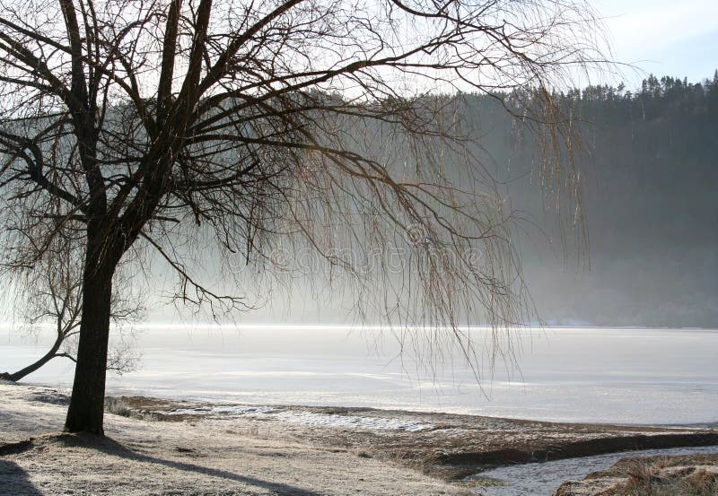Frozen Lake stock photo. Image of scenic, winter, tree - 500862