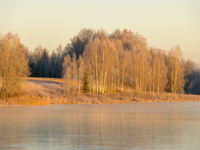 Frozen Lake and Beautiful Trees at Sunset Stock Photo - Image of ...