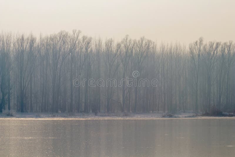 Frozen Lake in Forest Winter Sun, Winter Sun Landscape Stock Photo ...