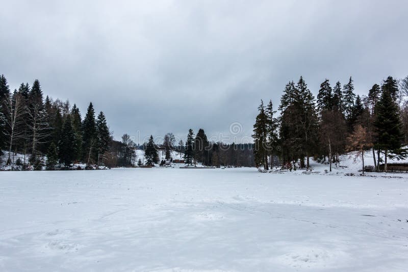 Frozen Lake with Ice and Snow in Winter Stock Photo - Image of wild ...