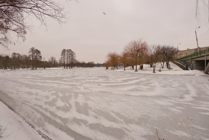 A Frozen Lake in IOR Park in Winter. Stock Image - Image of park, snow ...