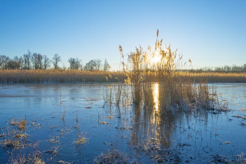 Frozen Lake in the Light of Sunrise Below a Blue Sky Stock Image ...