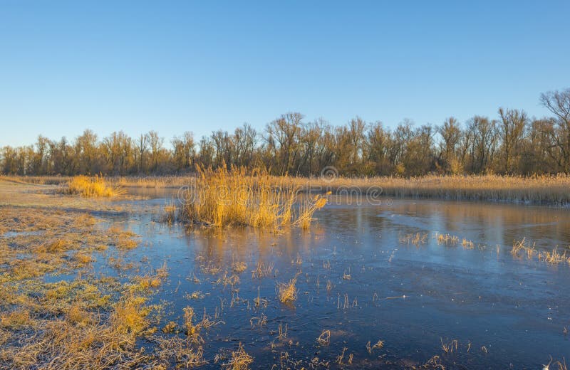 Frozen Lake in the Light of Sunrise Below a Blue Sky Stock Image ...