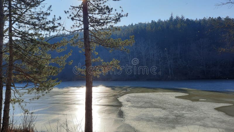 Frozen Lake Pine Trees stock image. Image of mountain - 269617839
