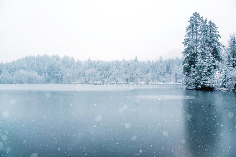 Frozen Lake in Snowy Forest. Stock Photo - Image of smooth, outdoor ...