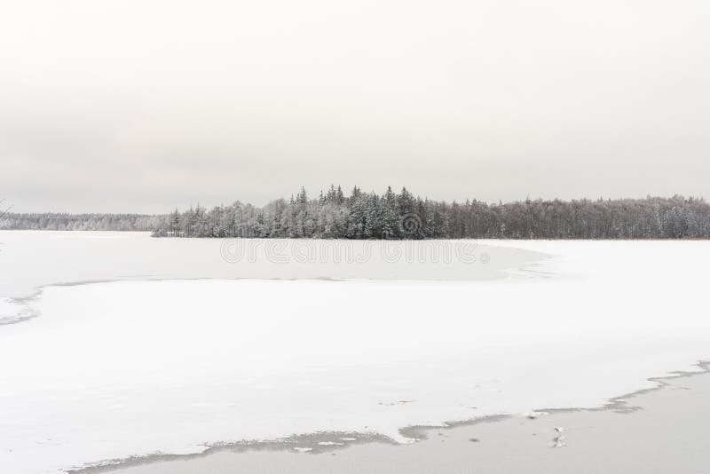 Frozen Lake, Snowy Forest in Winter Cold Day Stock Photo - Image of ...