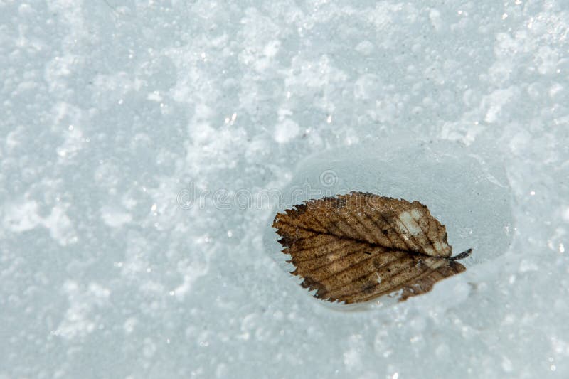 Frozen Lake in the Spring. Spring Ice Stock Image - Image of lake ...