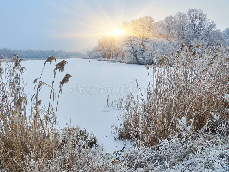 Frozen Lake on Sunny Winter S Day with Blue Sky Stock Image - Image of ...